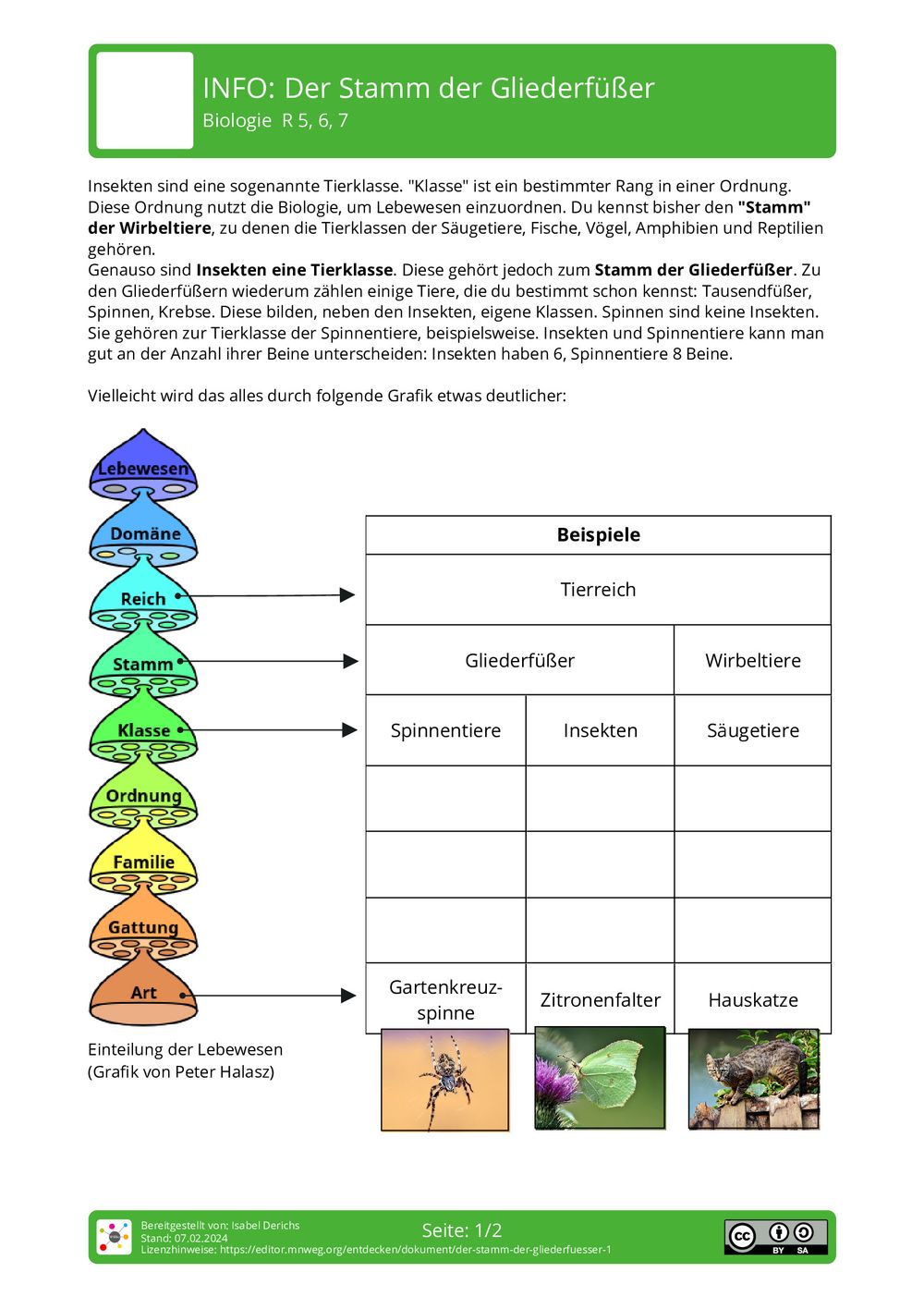 Arbeitsblatt - Der Stamm der Gliederfüßer - Biologie - mnweg.org