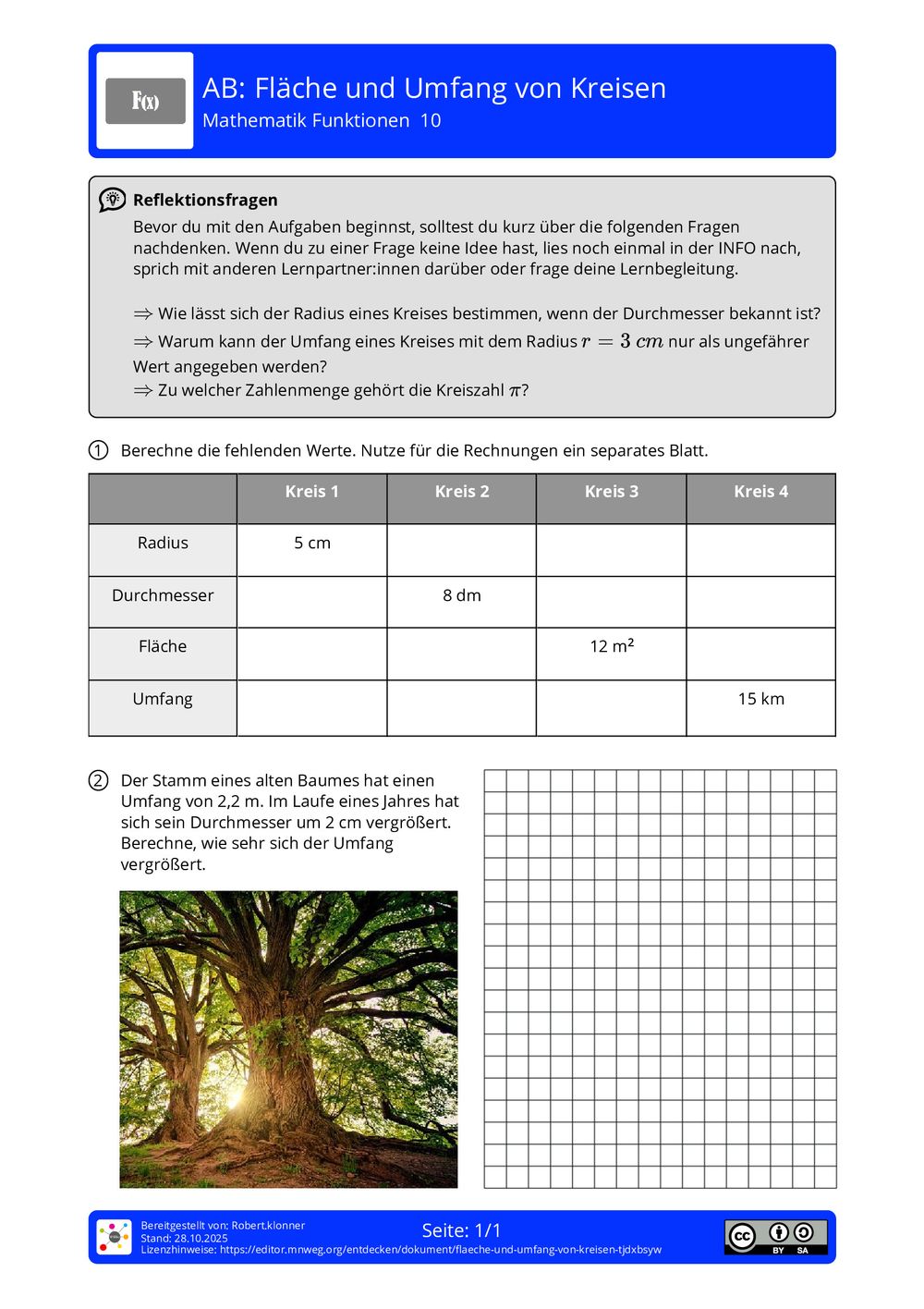 Arbeitsblatt - Fläche und Umfang von Kreisen - Mathematik - Funktionen ...