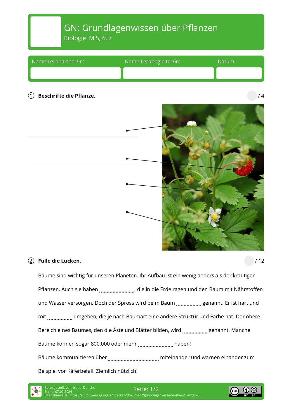 Arbeitsblatt - Grundlagenwissen über Pflanzen - Biologie - mnweg.org