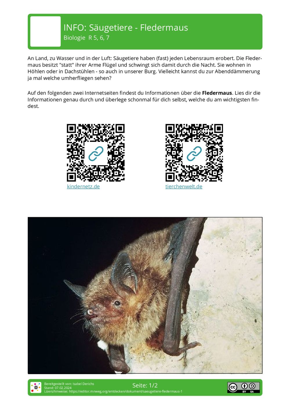 Arbeitsblatt - Säugetiere - Fledermaus - Biologie - mnweg.org