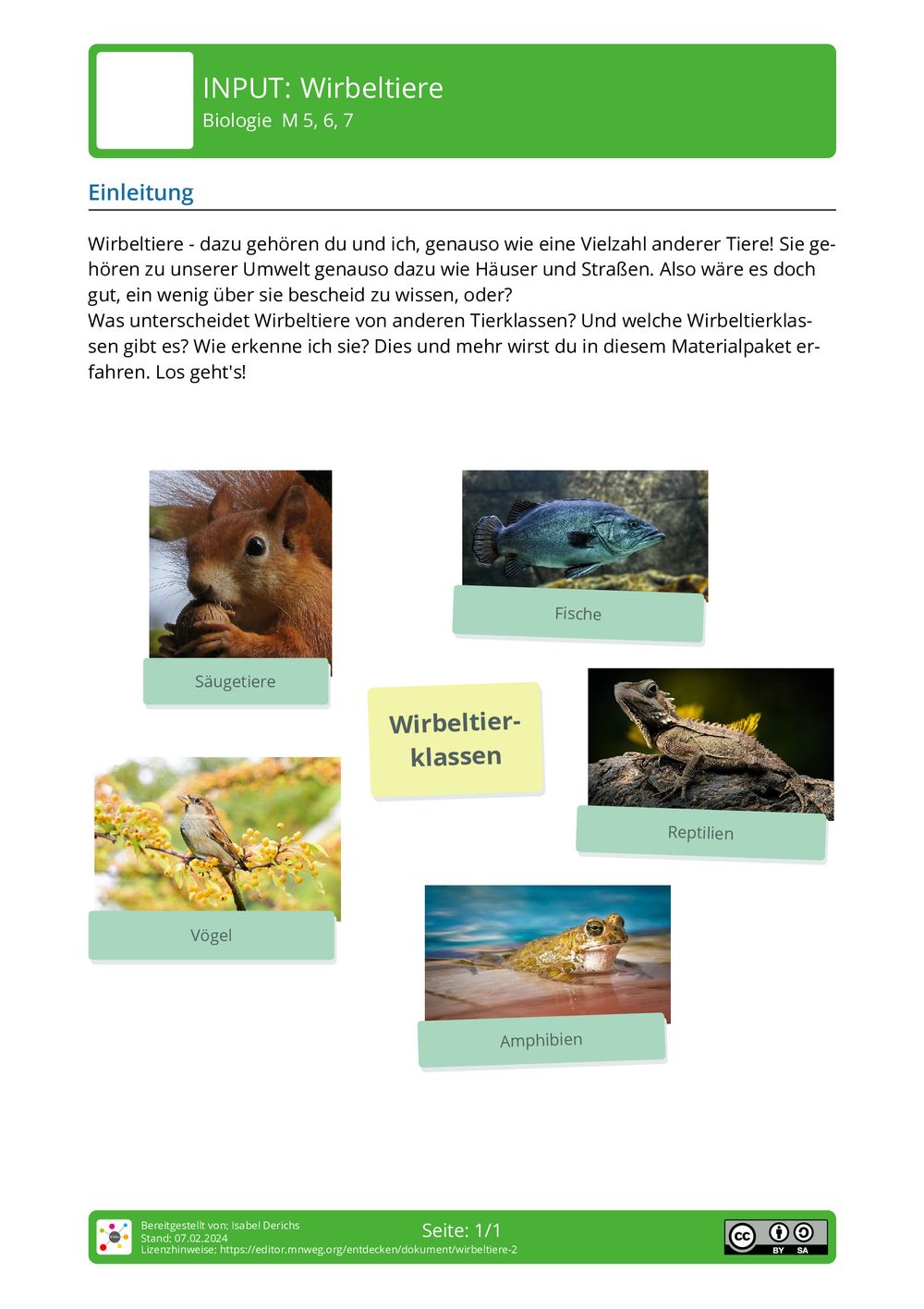 Arbeitsblatt - Wirbeltiere - Biologie - mnweg.org