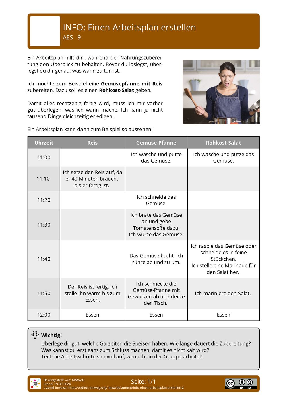 Arbeitsblatt - INFO: Einen Arbeitsplan erstellen - AES - mnweg.org
